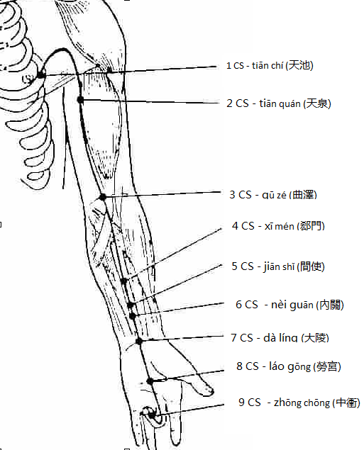 Päivän akupunktiopisteet – Oulun Taiji-seura ry